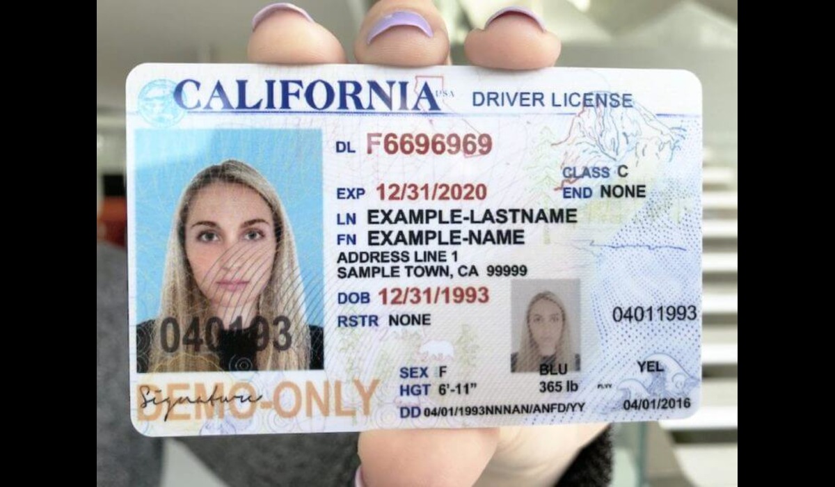 The Truth About Fake IDs: Risks, Consequences, and FAQs ...